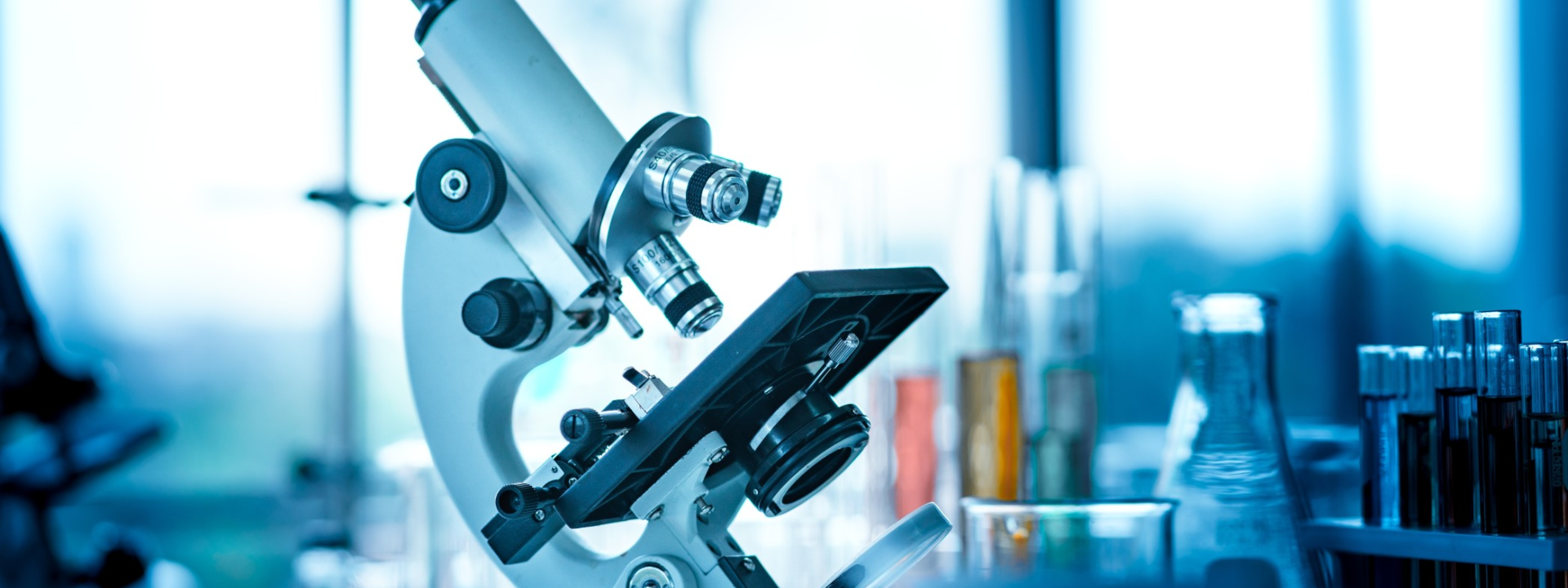 Algarve Biomedical Center Research Institute • ABC Ri