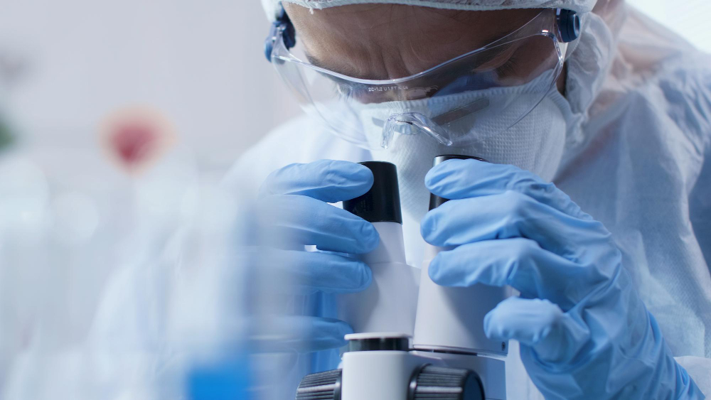 Algarve Biomedical Center launches two grants in the value of 200 ...