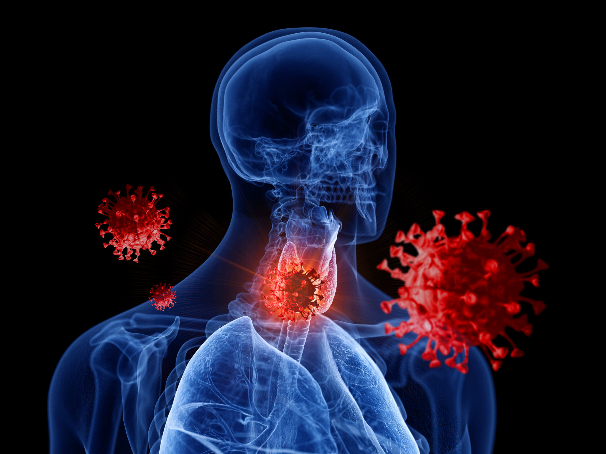 ABC-RI researcher edits book on the relationship between thyroid and ... ABC-RI researcher edits book on the relationship between thyroid and ...